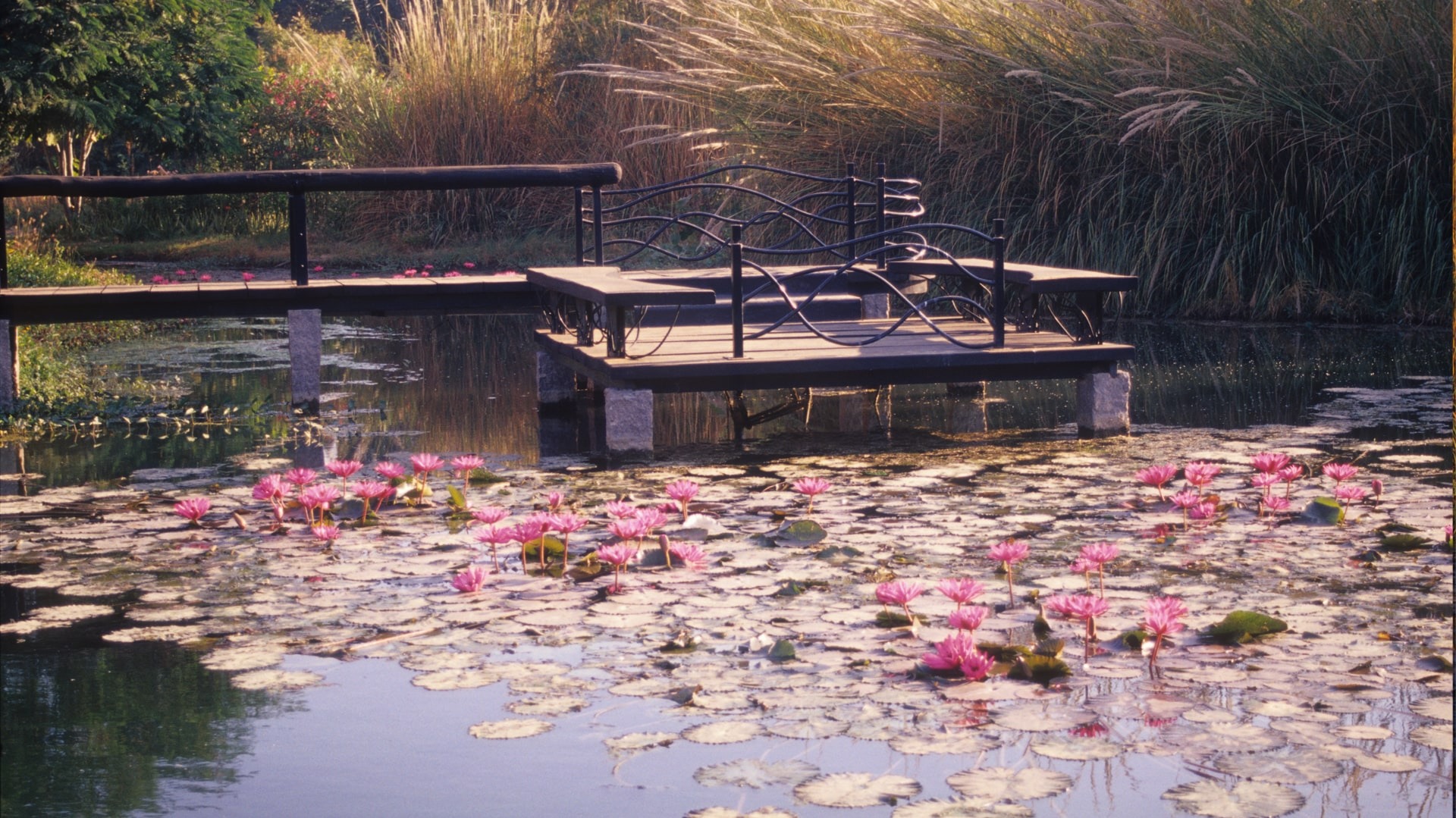 Landscapeindia
