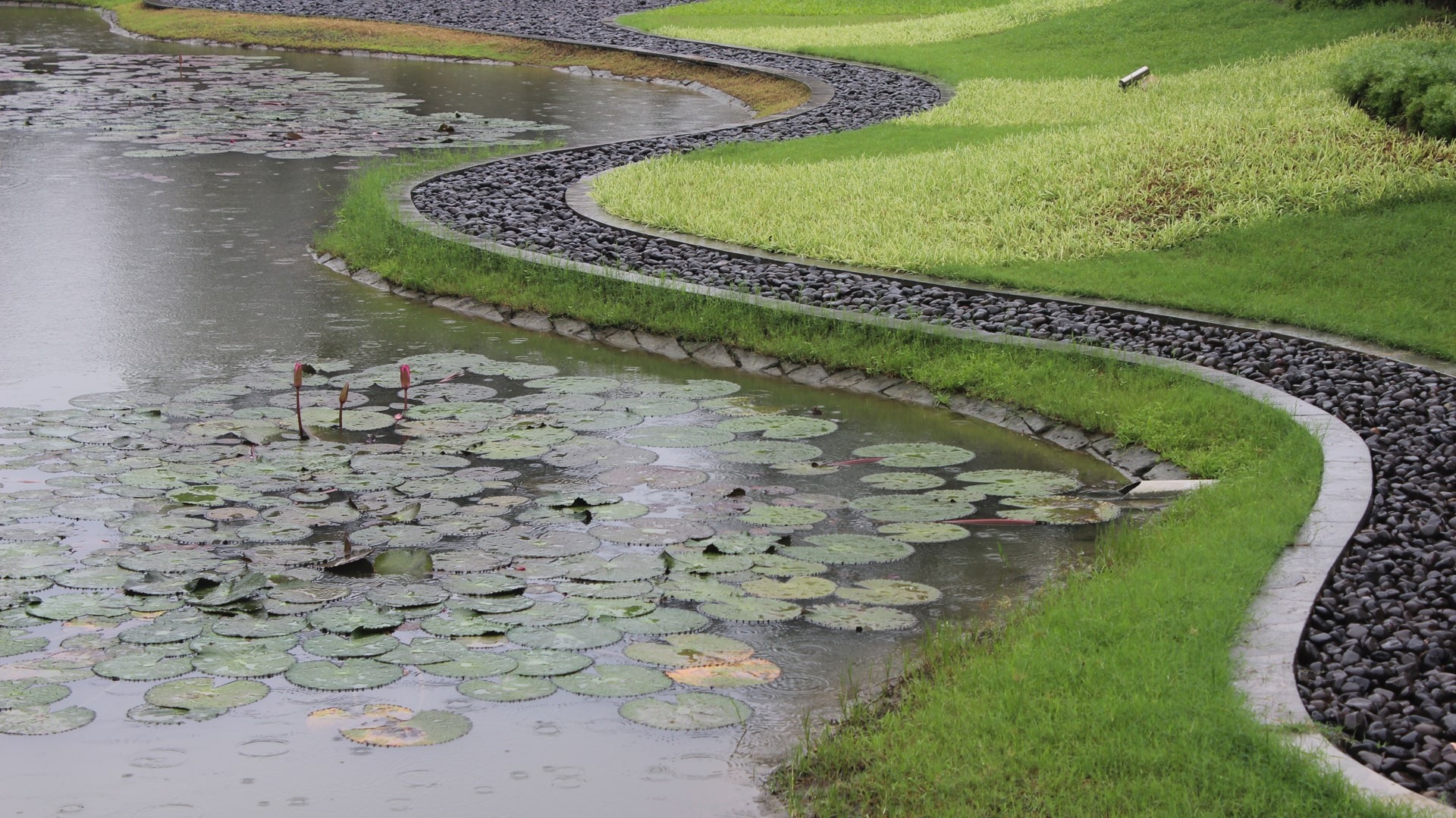 Landscapeindia