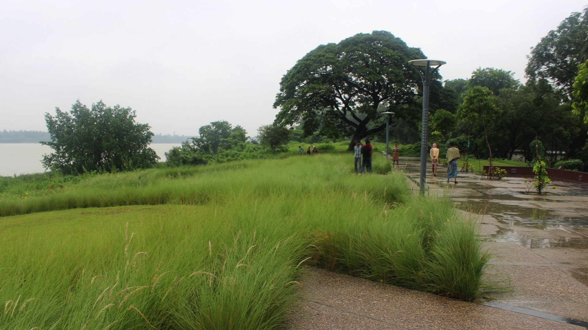 Landscapeindia