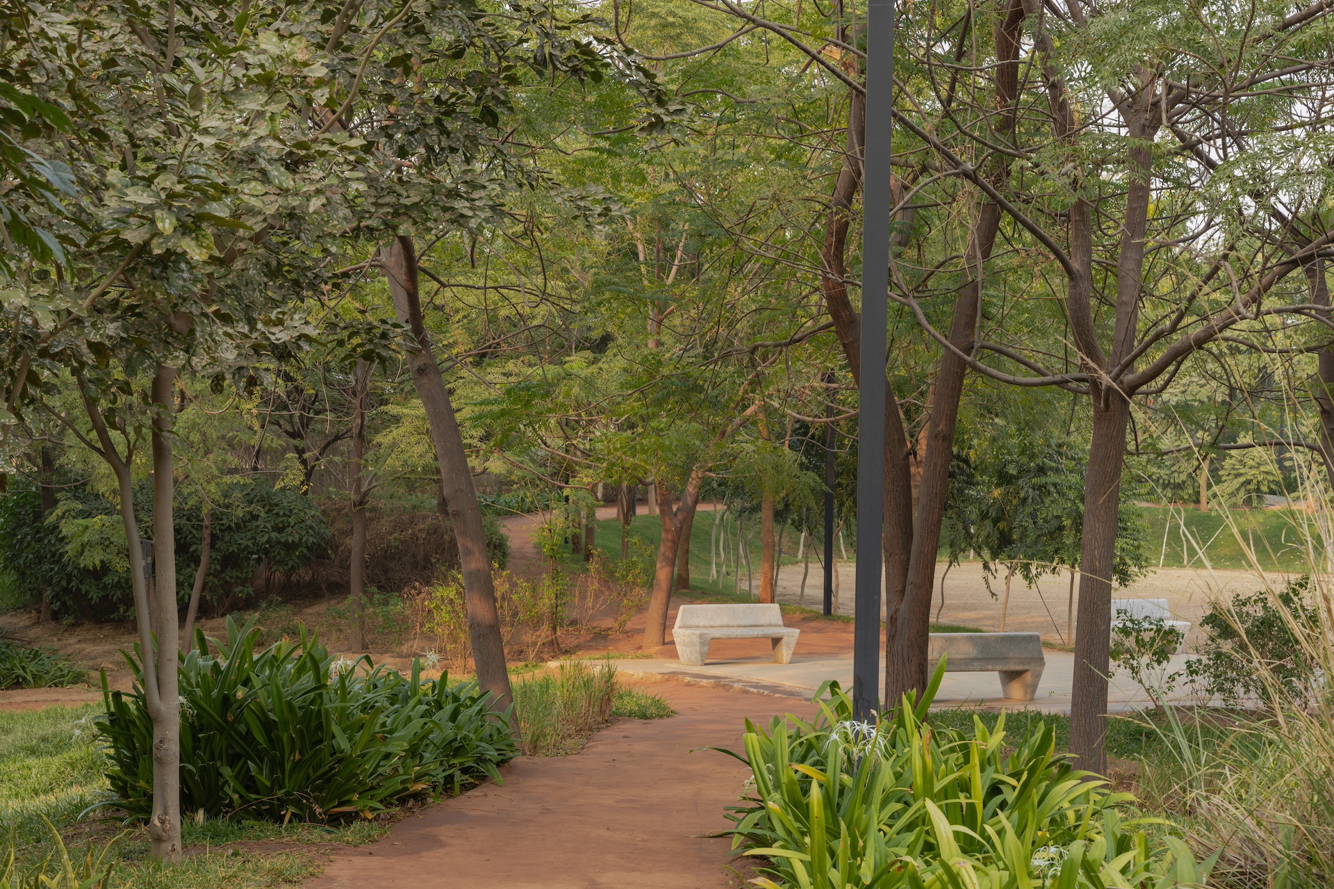 Landscapeindia